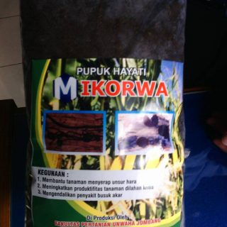 MANFAAT APLIKASI MIKORIZA (Mikoriza Arbuskular Versikular) – FAPERTA UNWAHA